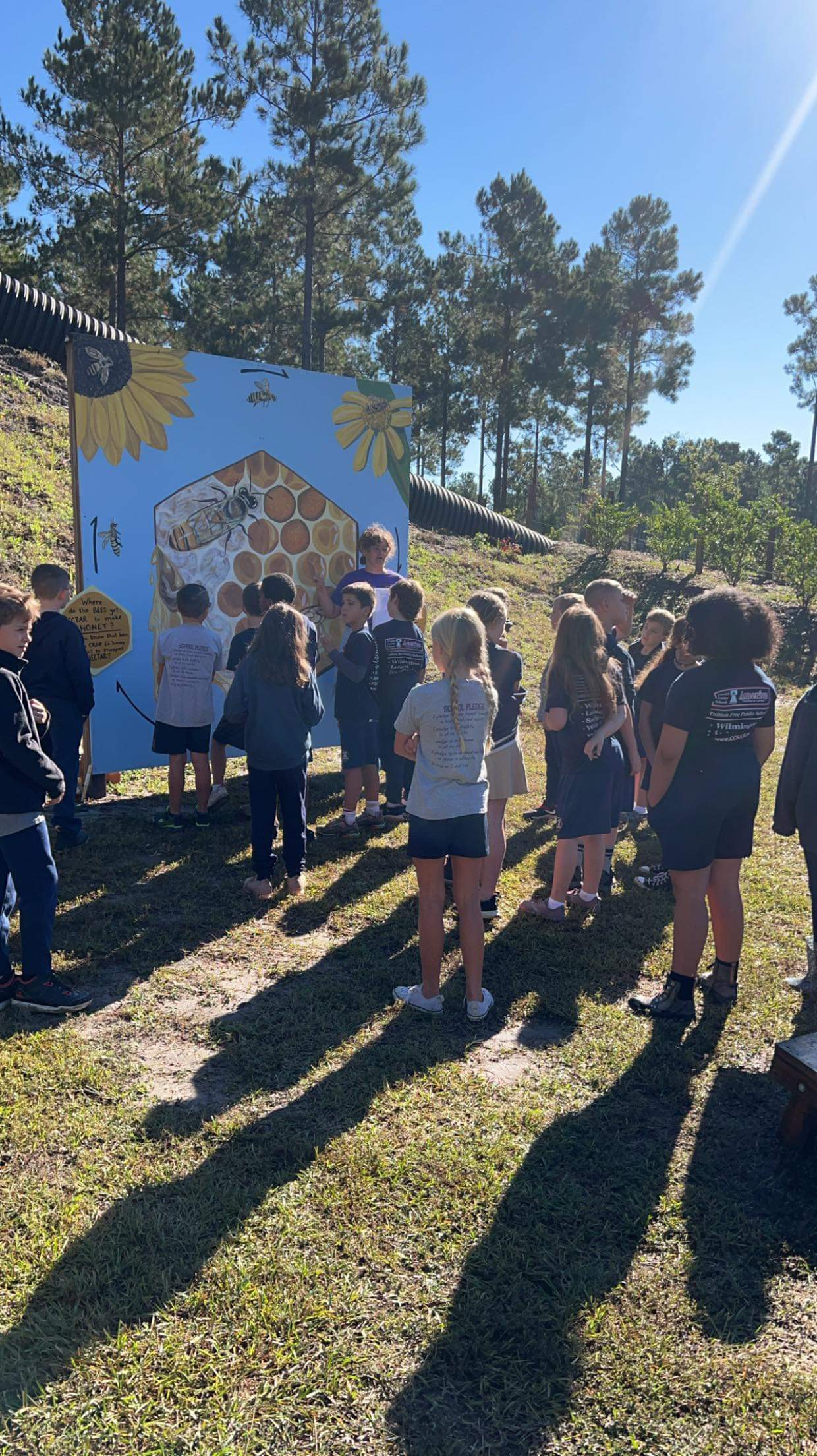 Activities - Stump Hill Farms